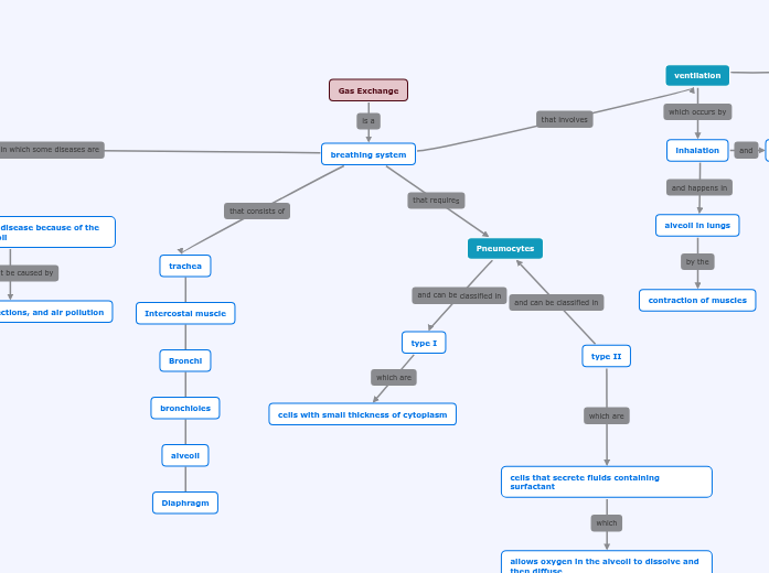 Gas Exchange - Mind Map